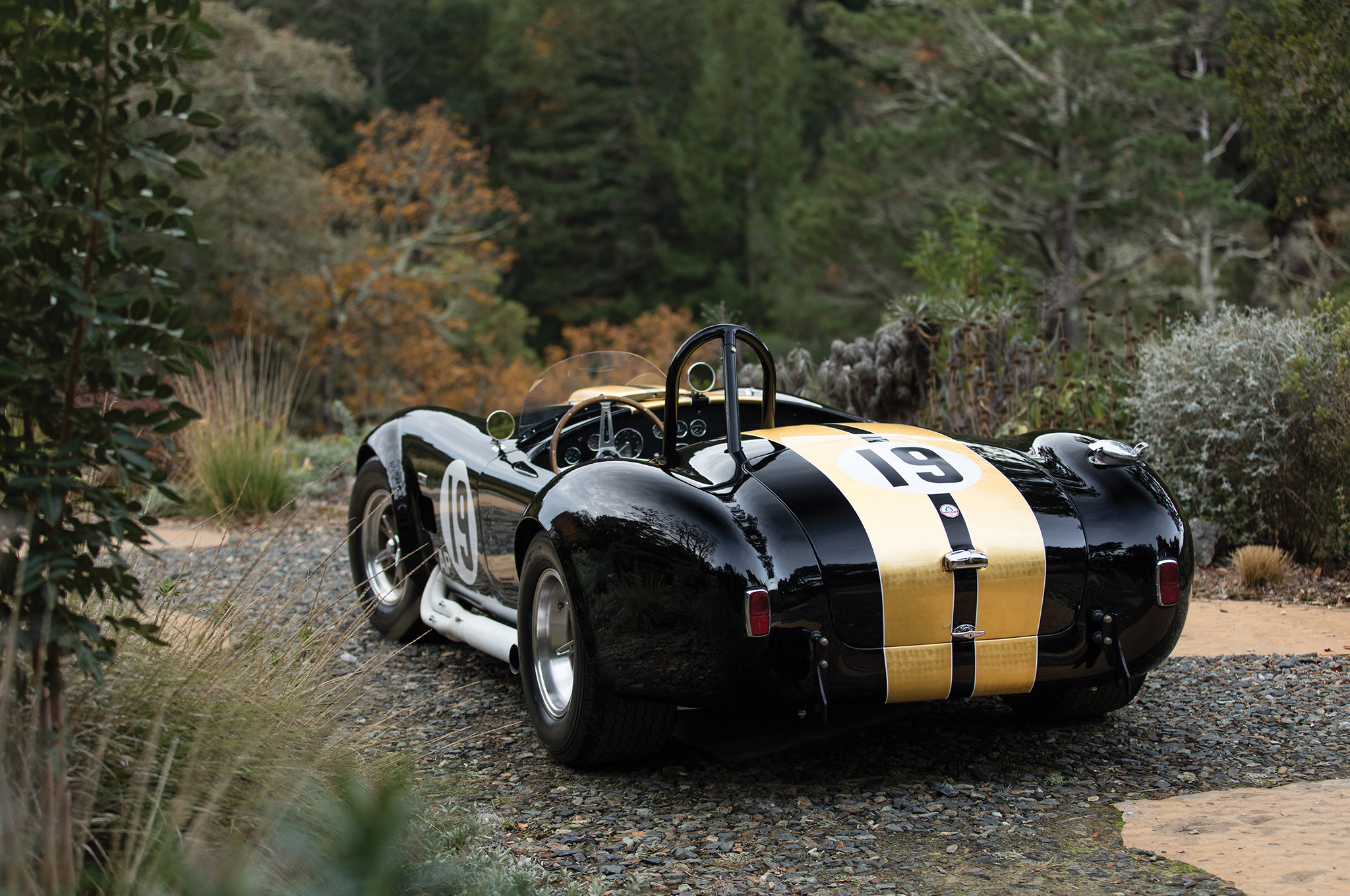 Authentic 1965 Shelby 427 Competition Cobra Up for Sale in January
