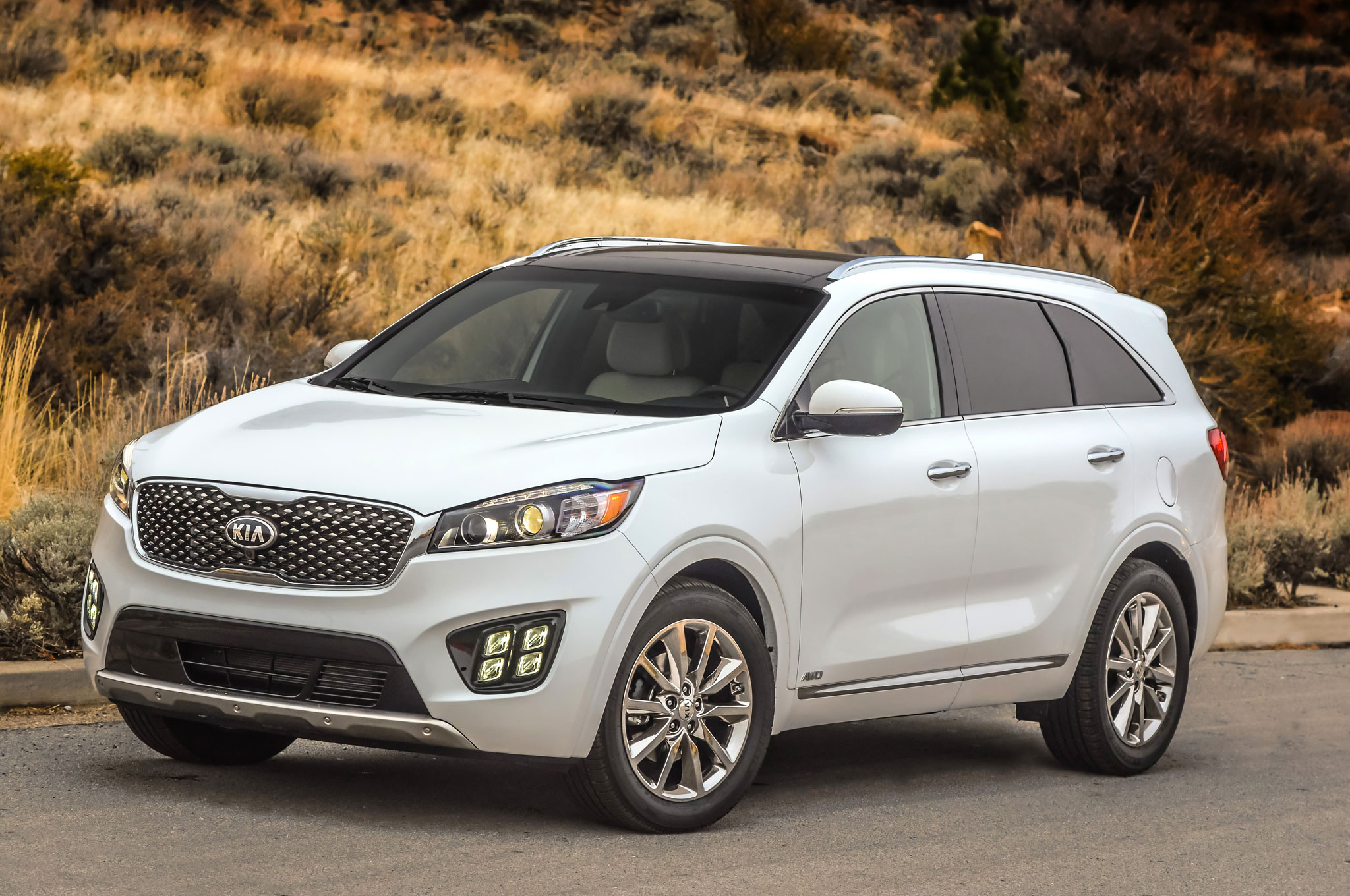 kia-large-suv-concept-teased-before-detroit-debut